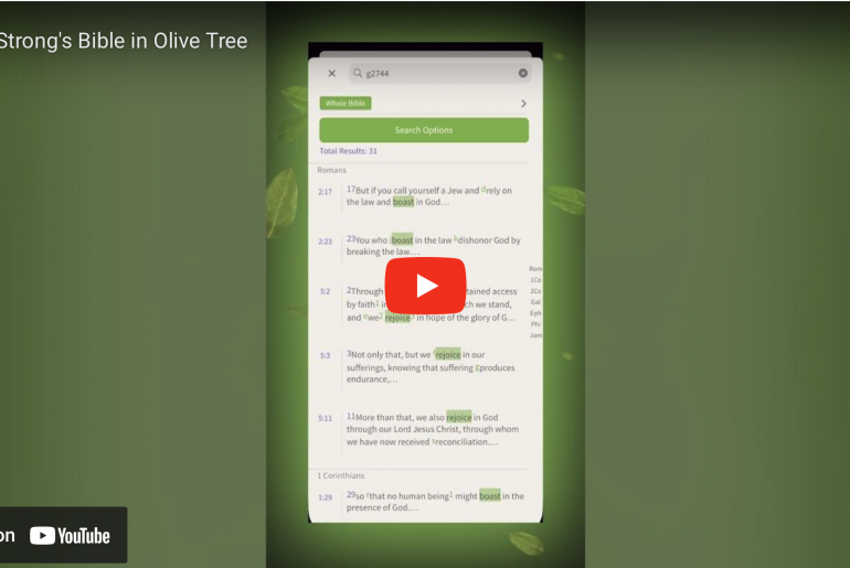 Study Center - Olive Tree Blog